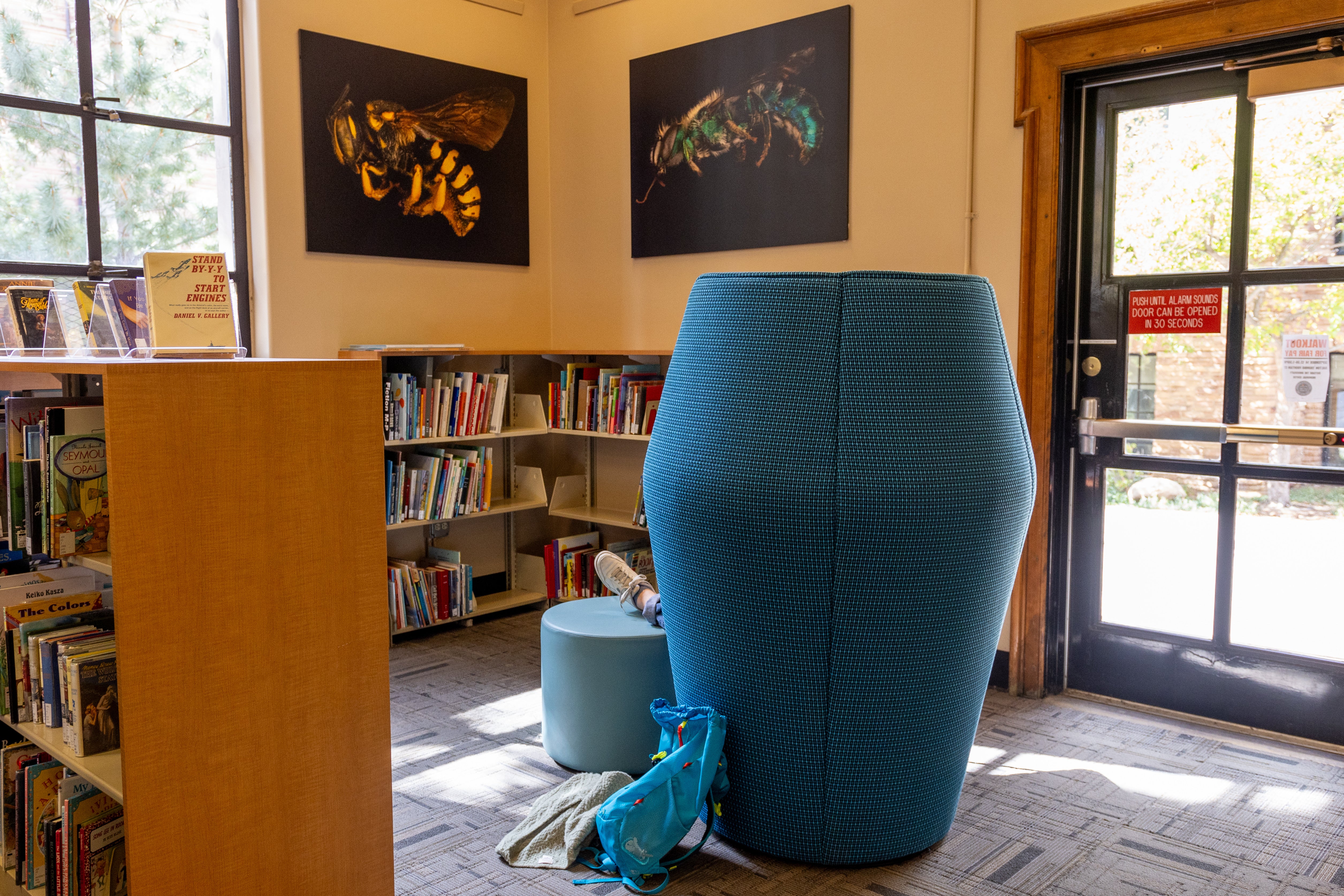 New to the collection: Find your next summer read at the Libraries ...