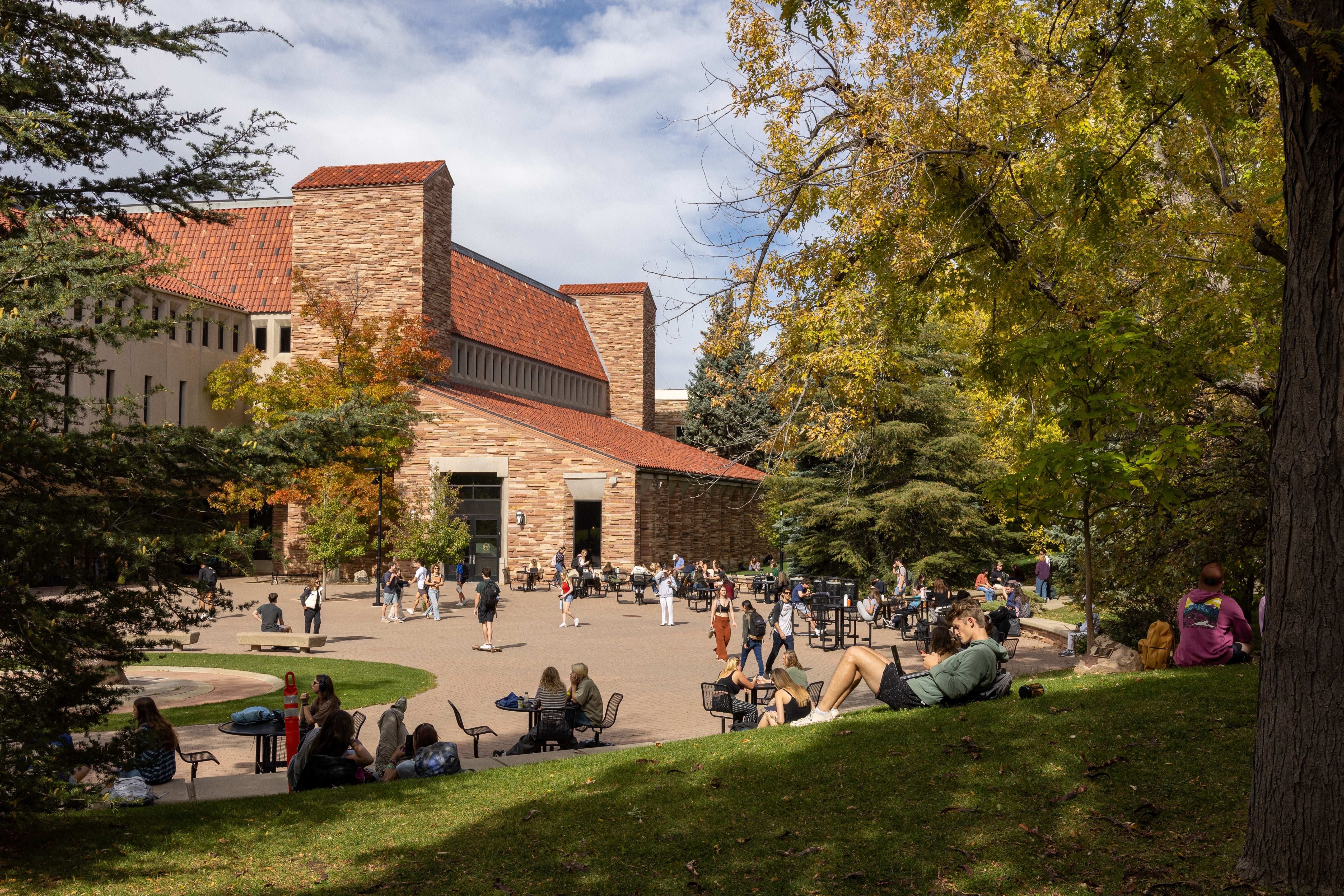 Your summer guide to the University Libraries | University Libraries ...