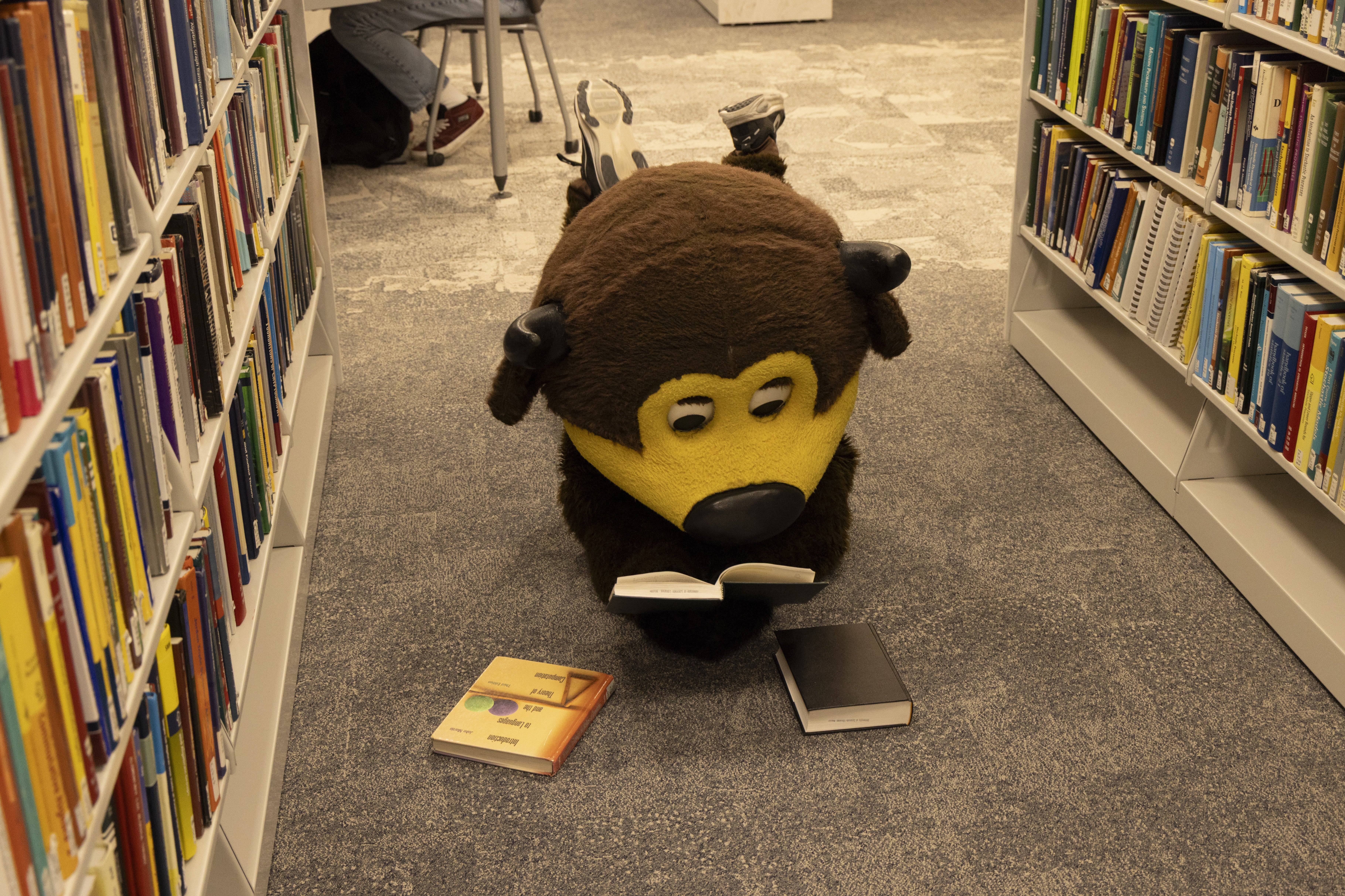 Read, watch, get outside: 16 library resources for your spring break ...